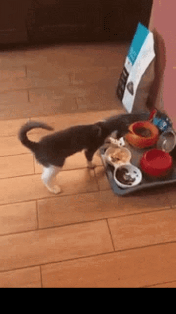 Can't Comprehend - Imgflip