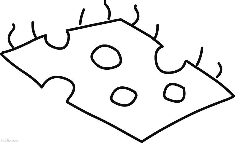 the cheese touch - Imgflip