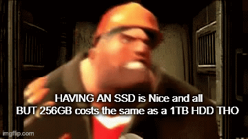 The pain of owning an SSD, figuring out which game to delete to install ...