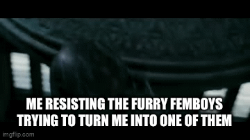 Animated GIF - Imgflip