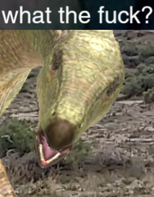 Everyone loves Marcia... - Imgflip