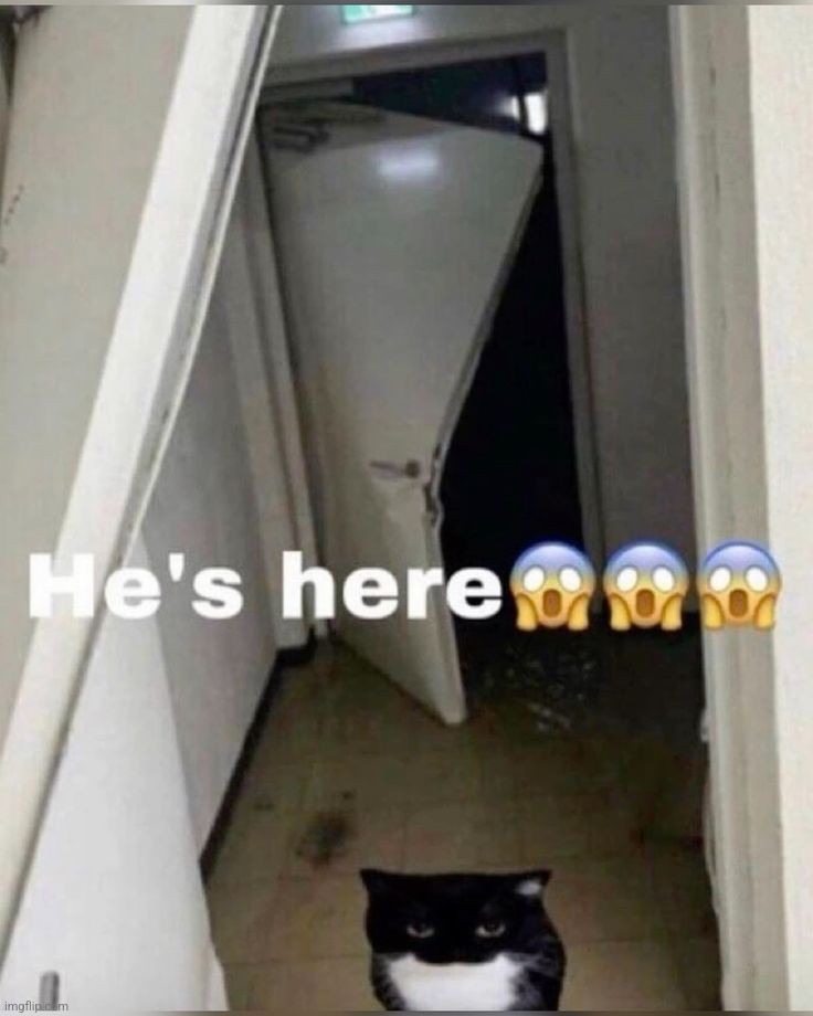 This cannot continue - Imgflip