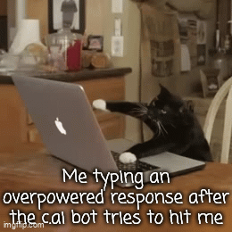 Typing kitty - Imgflip
