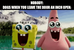 Y U NO STAY INSIDE - Imgflip