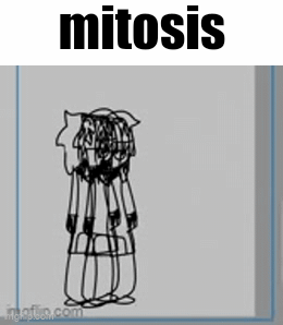 Animated GIF - Imgflip