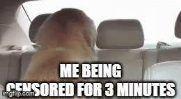 Smiling Evil Dog - Imgflip