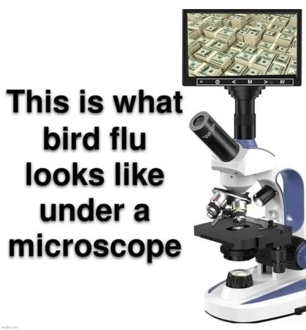 Bird flu under Anthony Fauci & Bill Gates' microscopes to be exact ...