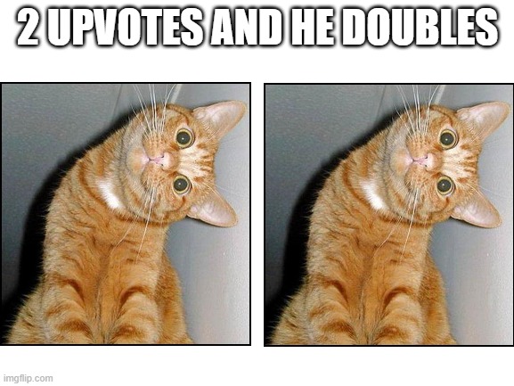 Blank White Template - Imgflip