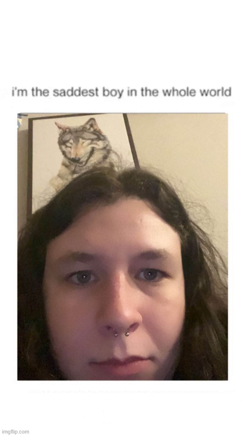 Image tagged in heckajenna sad - Imgflip