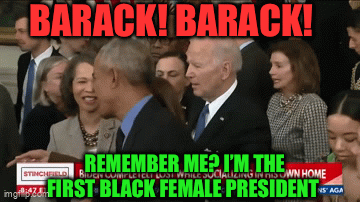 Democrat Leader - Imgflip