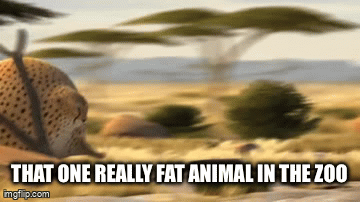 Zoo - Imgflip