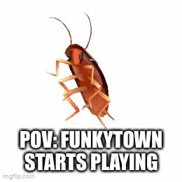 Funkytown hits different - Imgflip