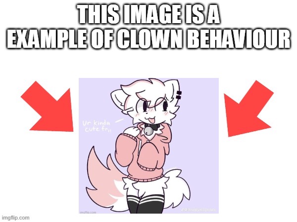 Image tagged in this image is a example of clown behaviour - Imgflip