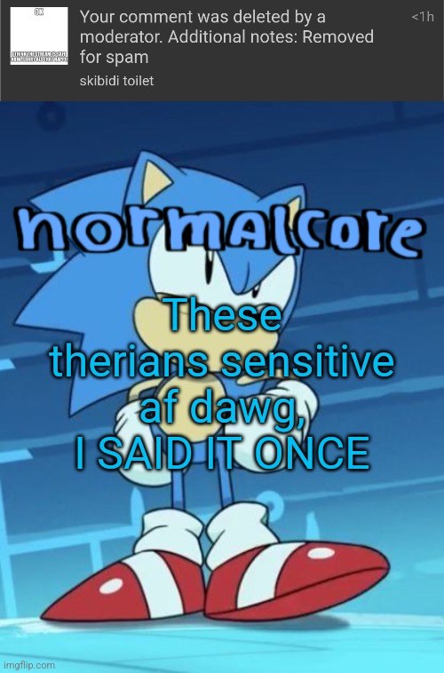 I wasn't even raiding or shit - Imgflip