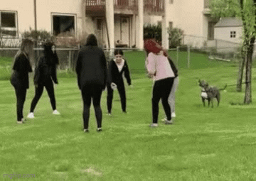 Do You Wanna Play The Chase Game ? - Imgflip