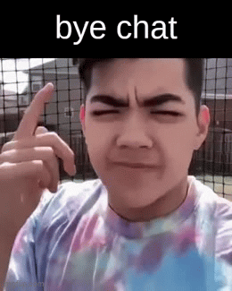 bye chat - Imgflip