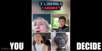 I Already Have - Imgflip