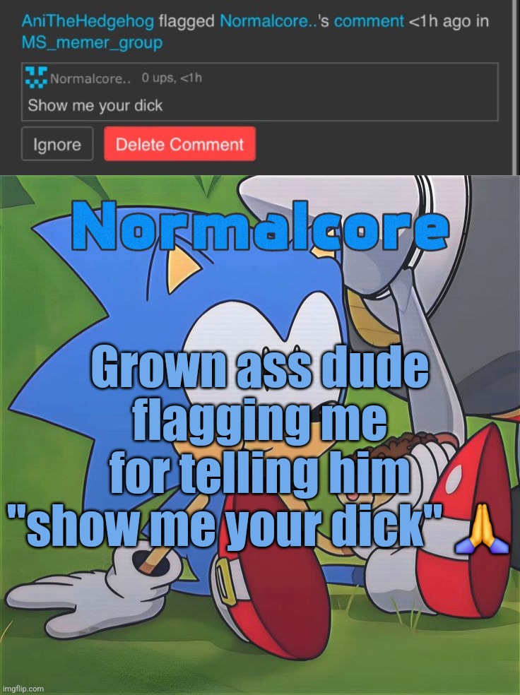 Image tagged in random sonic template remake - Imgflip