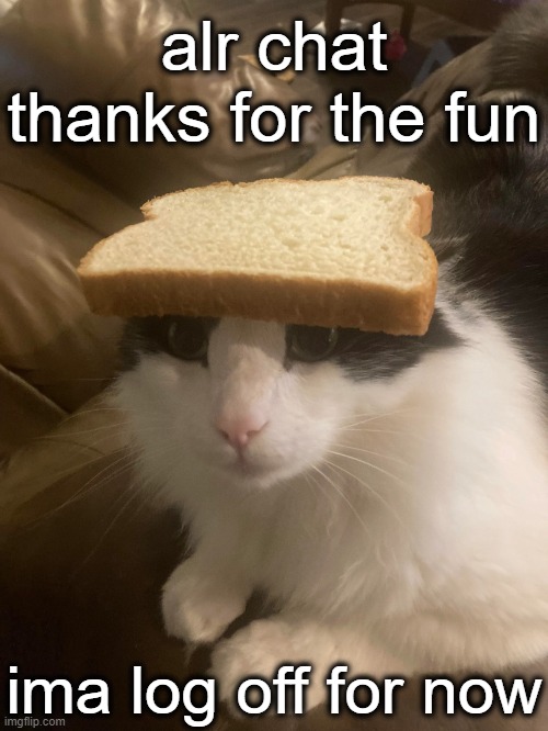 bread cat - Imgflip