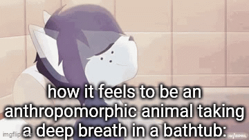 Me when furry Eipril - Imgflip