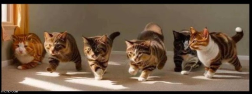 squint your eyes - Imgflip