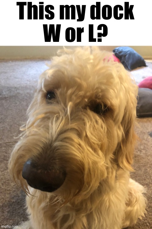 this is me dock - Imgflip