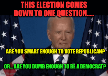 What are you voting for? - Imgflip