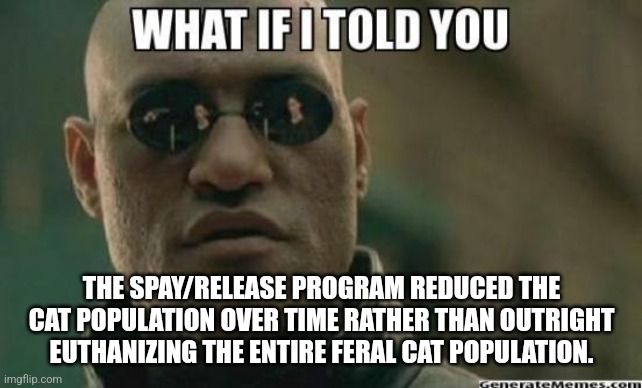 What If I Told You.... - Imgflip