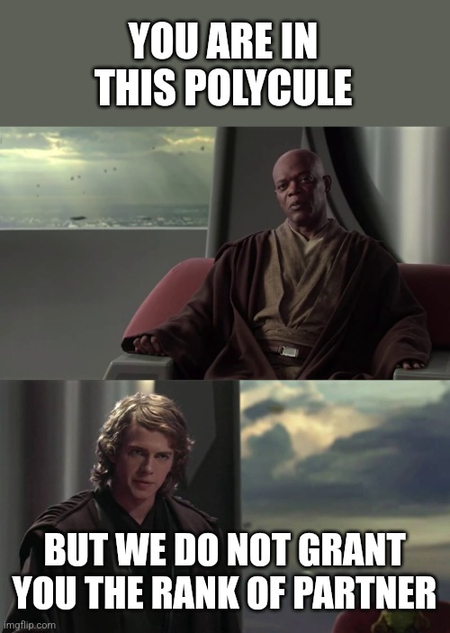 you are on the council but you do not have the rank of master - Imgflip