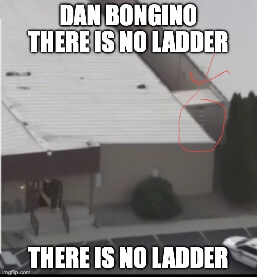There is NO LADDER - Imgflip