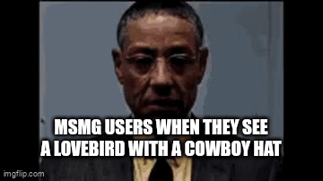 Gonb - Imgflip