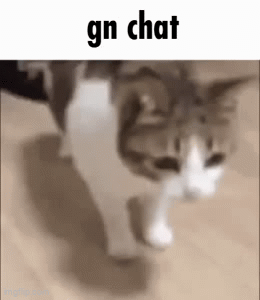 gn chat - Imgflip