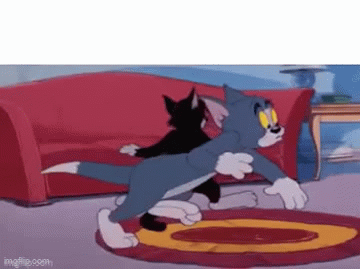 Tom & Jerry Searching - Imgflip