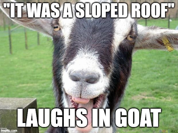 Funny Goat - Imgflip