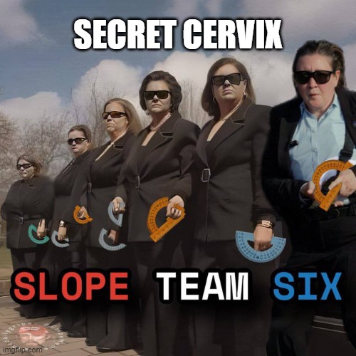 Secret Cervix - Imgflip