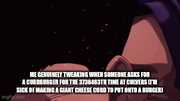 A curdburger is basically a burger but with a burger size cheese curd ...