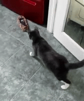 That Slipper is Dangerous - Imgflip