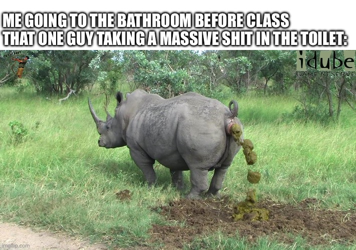 rhino poop - Imgflip