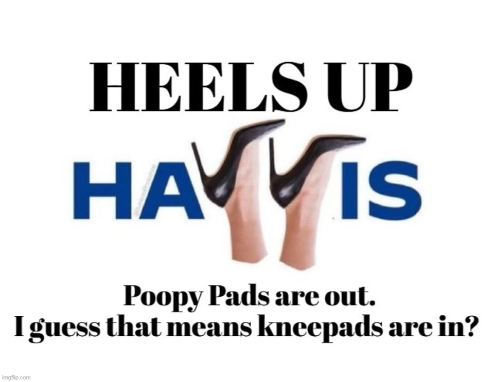 Poopy Pads are out. I guess that means kneepads are in? - Imgflip