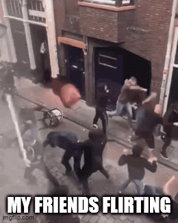 They can get VERY physical - Imgflip