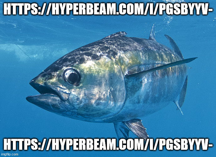 https://hyperbeam.com/i/pgSbyYV- - Imgflip