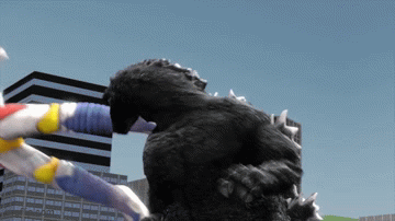 Lizards Giving Out 24 Hr. Timers - Imgflip