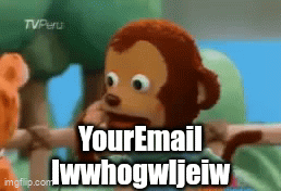 Surprised Monkey - Imgflip