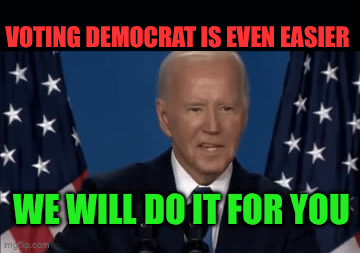 Voting Democrat means: never having to say your vote mattered - Imgflip