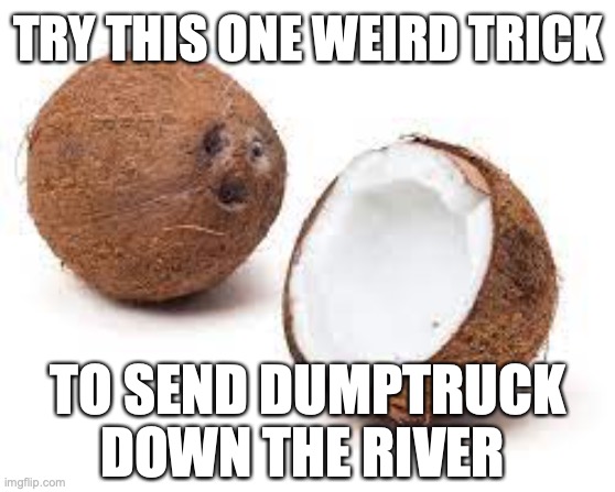 YOU JUST GOT COCONUT MALLED - Imgflip