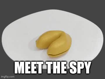 Meet the spy - Imgflip