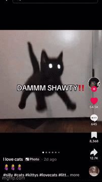 Word is bond - Imgflip