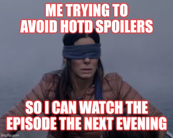 Bird box blindfolded - Imgflip