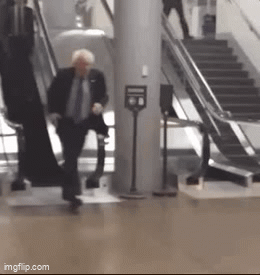 BERNIE'S Running again! - Imgflip