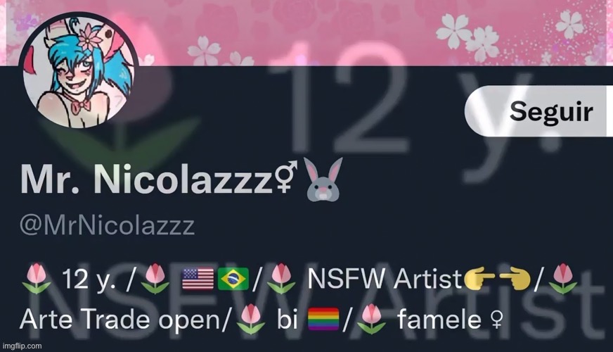 12 YEARS OLD?!?! NSFW ARTIST?!?! BRO IS IN 6TH GRADE WTH - Imgflip